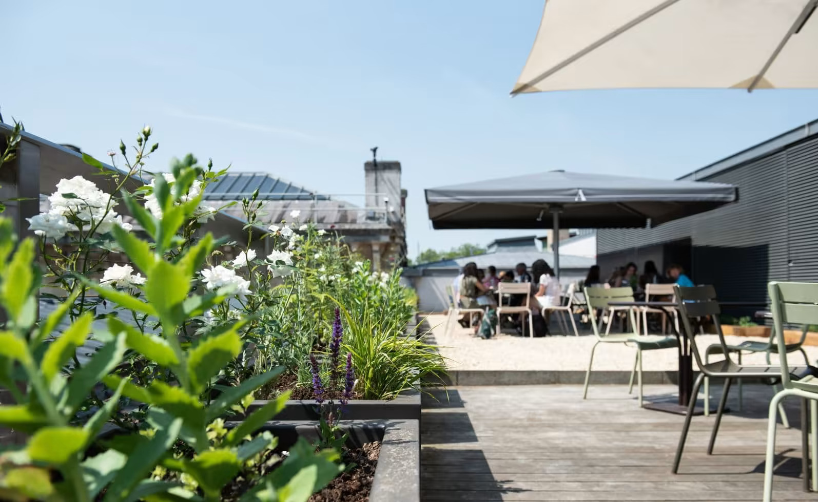 Ashmolean Rooftop Restaurant Reviews & Info // Vivovega
